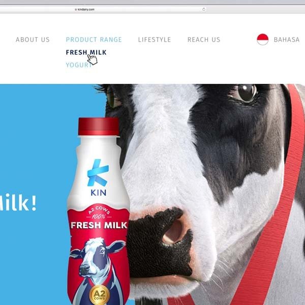 Successfully positioning the KIN dairy milk brand in Indonesia