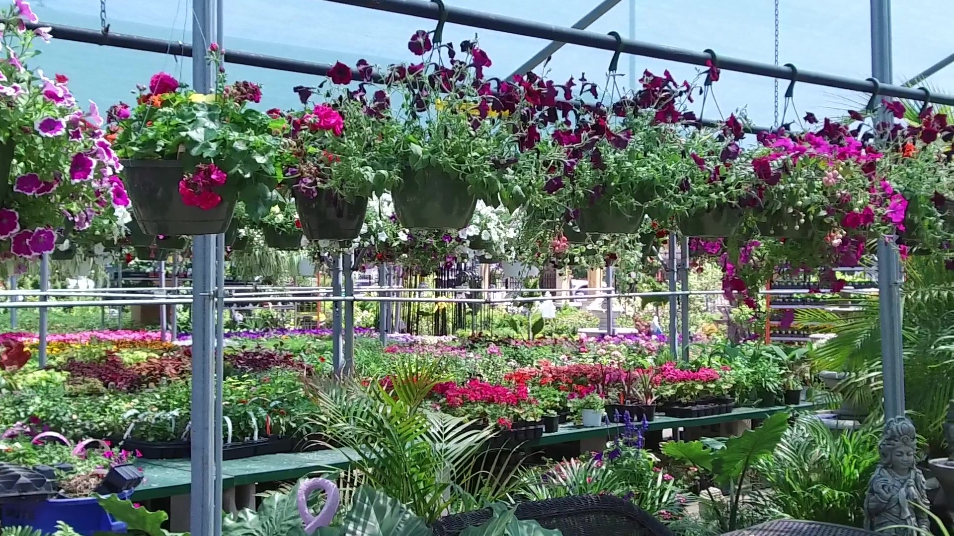 Garden Designers & Landscaping Center | Garden Center Homer Glen & Hinsdale