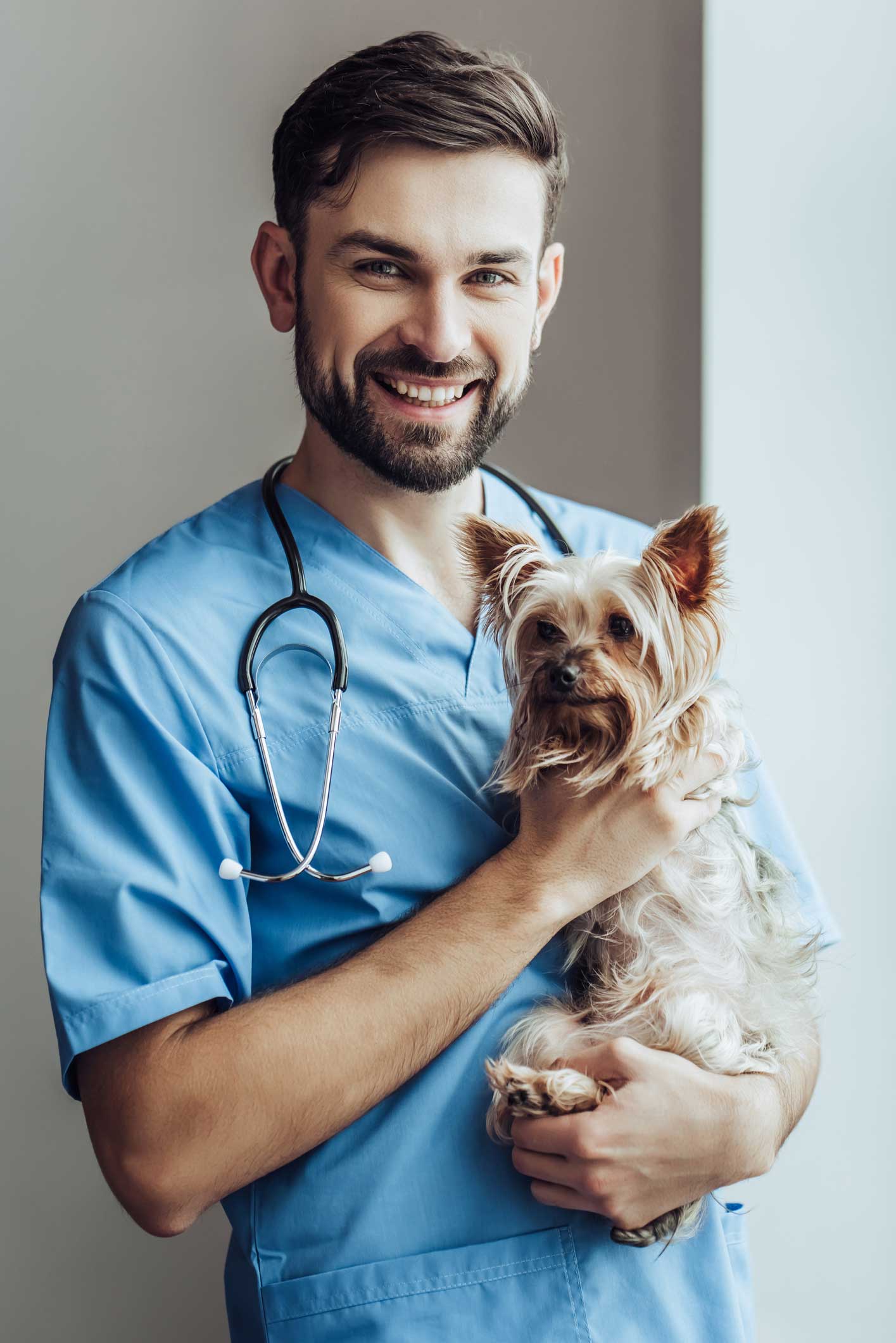 Patient Resources | Southeast Michigan | Healthy Paws Veterinary Hospital