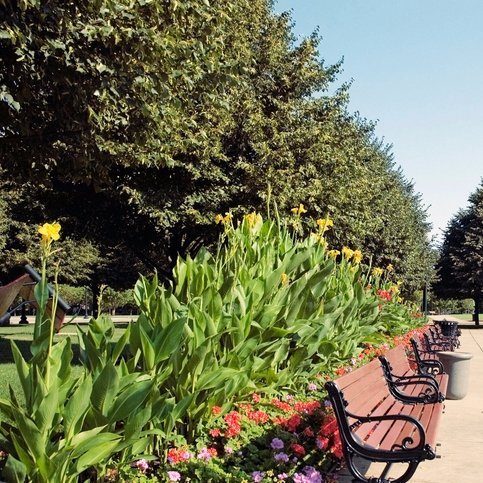 Family Tree Landscape Nursery Rochester MN