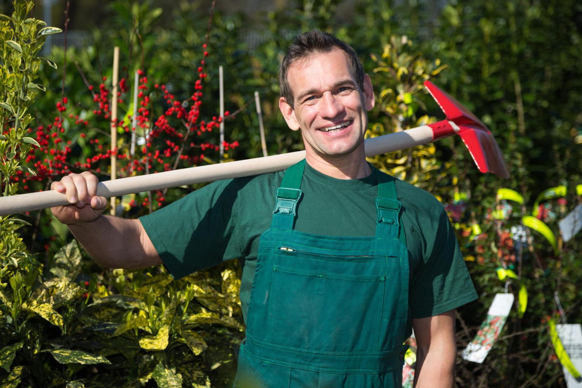 Landscape Contractors Near Me, Tree Pruning, Port St. Lucie, FL