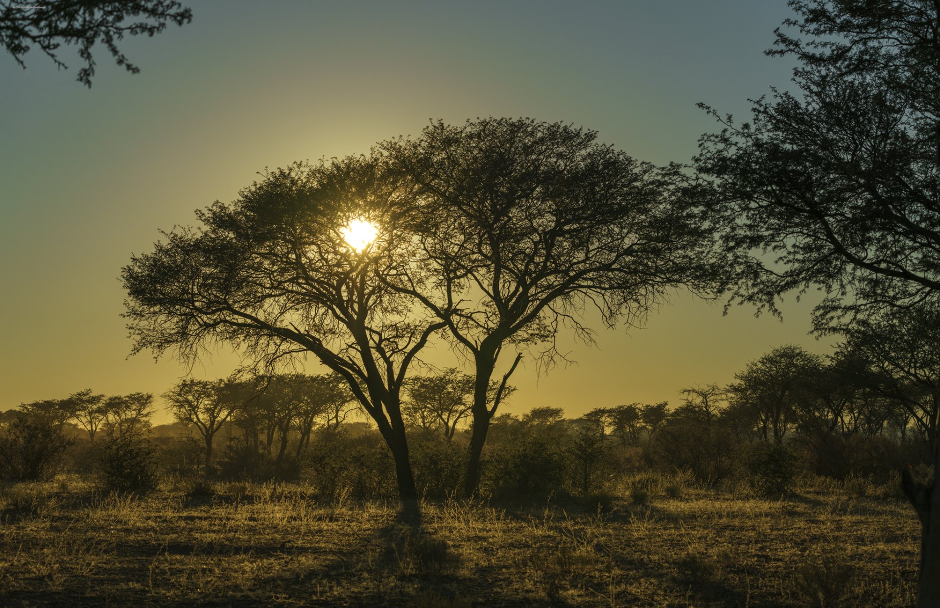 David Davidson Photography