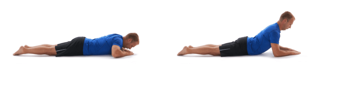 Basic Back Exercises