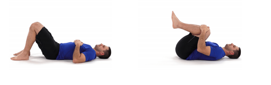 Basic Back Exercises