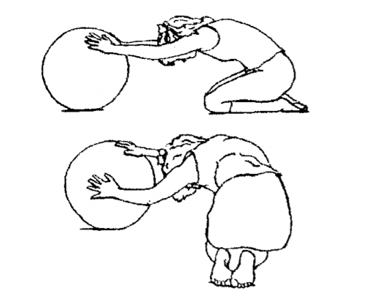 Postural Control Ball Exercises