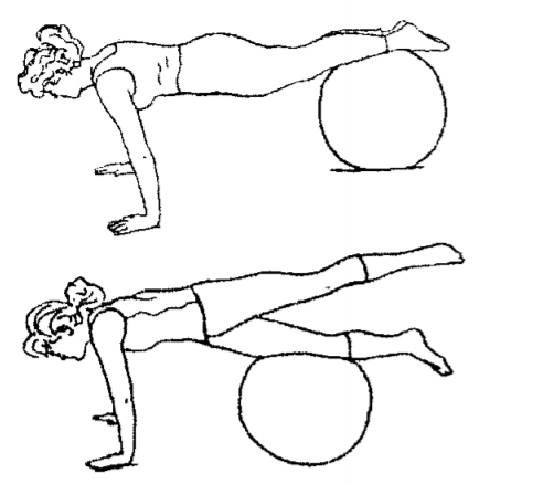 Postural Control Ball Exercises