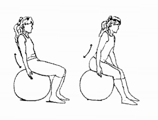 Postural Control Ball Exercises