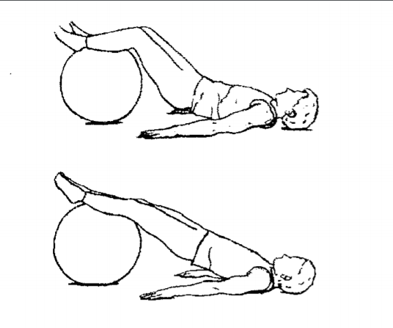 Postural Control Ball Exercises