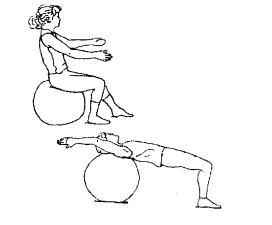 Postural Control Ball Exercises