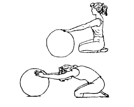 Postural Control Ball Exercises