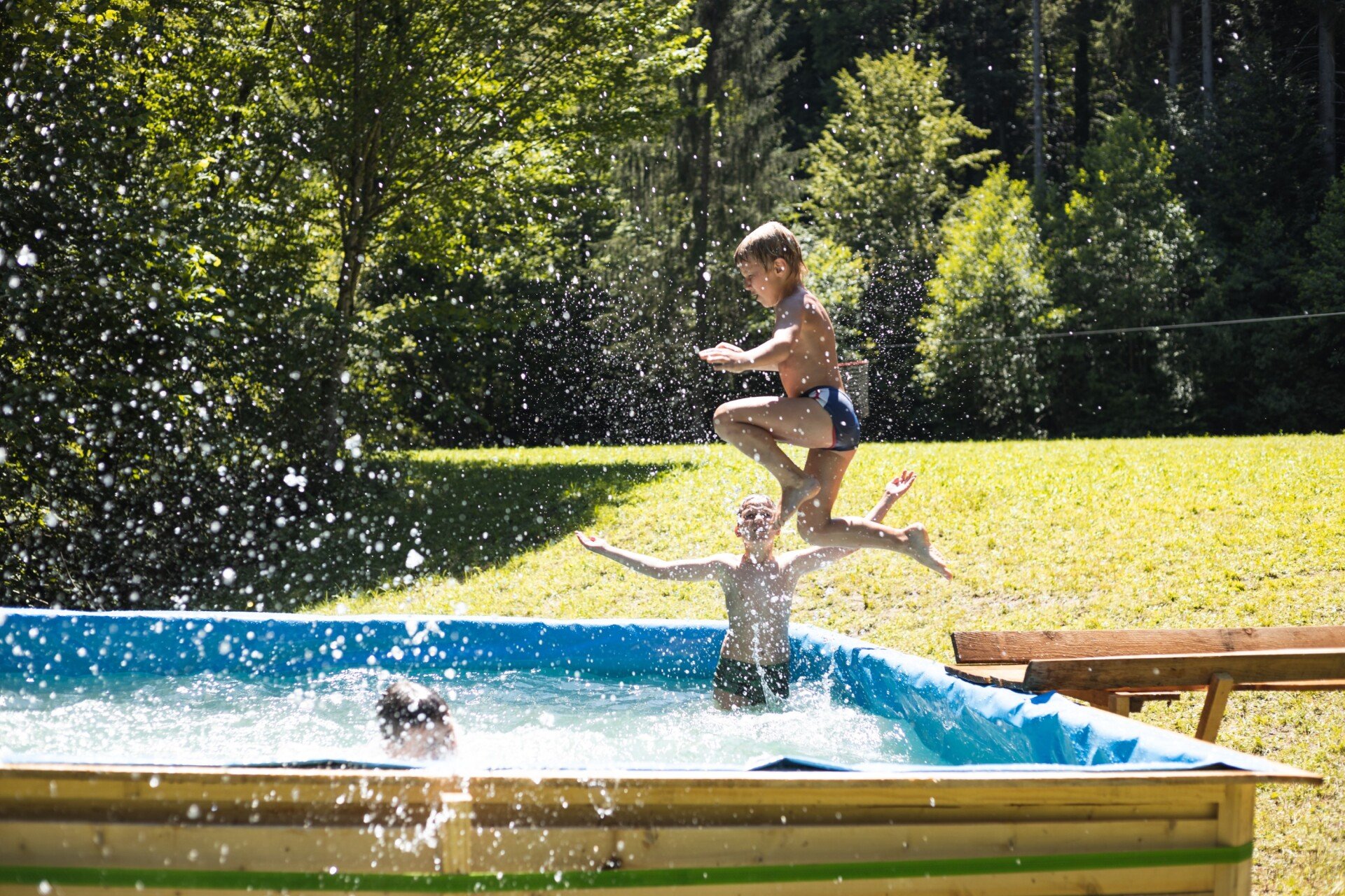 Gozdni oddelek = Nepozabni poletni tabori