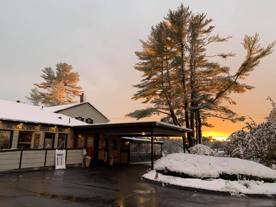 Black Dog Bar and Grille