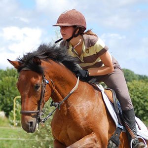 Horse riding centre | Lads Lodge Riding Centre