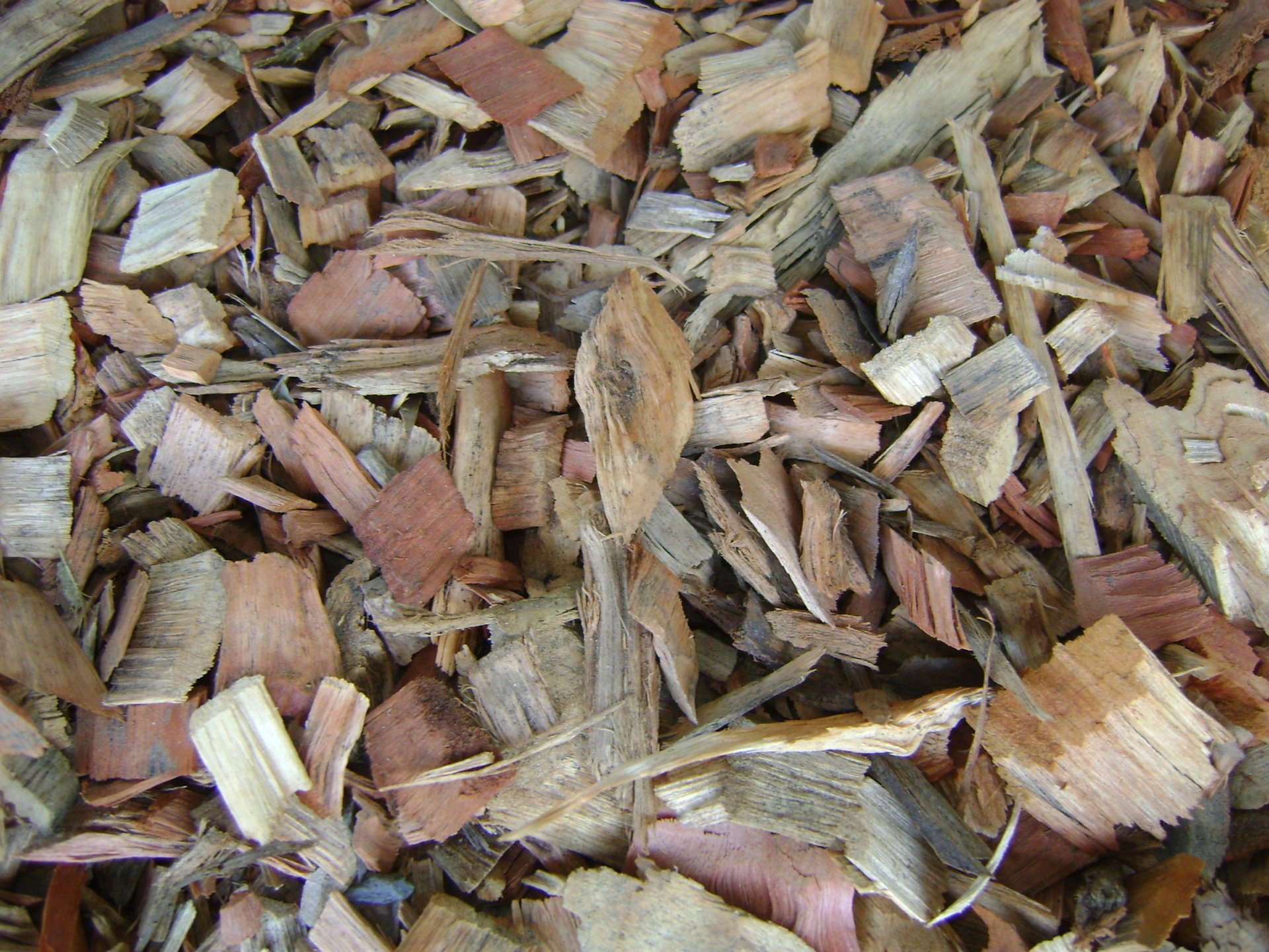 See Our Gallery With Over 50 Products to Choose From