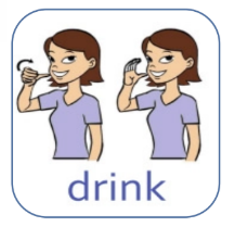 Sign Language Program