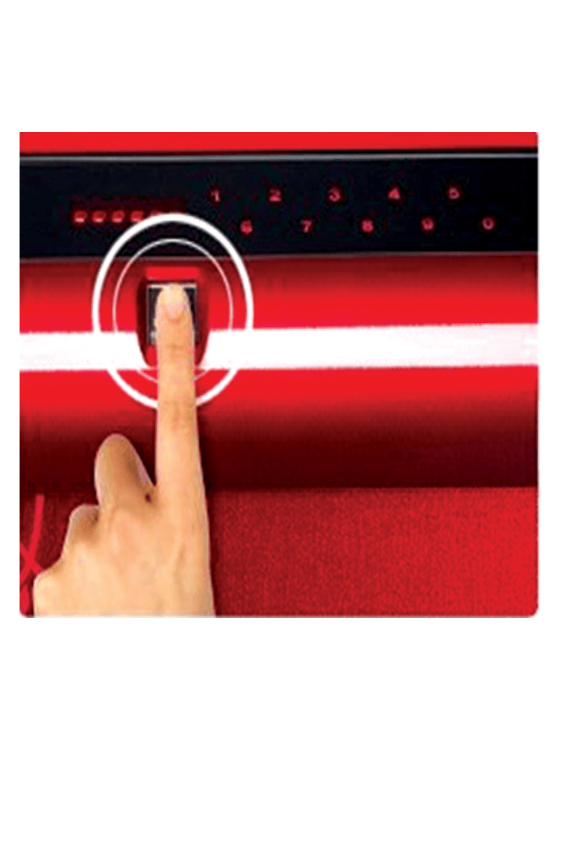 Premium Home Safes LUCELL