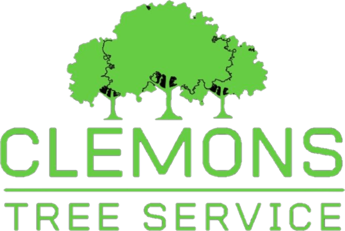 Tree Removal | Crown Point, IN | Clemons Tree Service