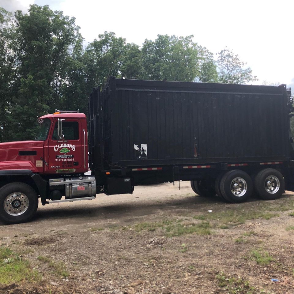 Tree Removal | Crown Point, IN | Clemons Tree Service
