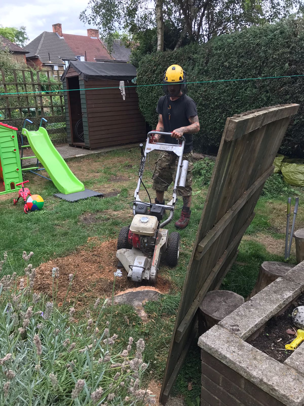 Tree surgery | HD Tree Care