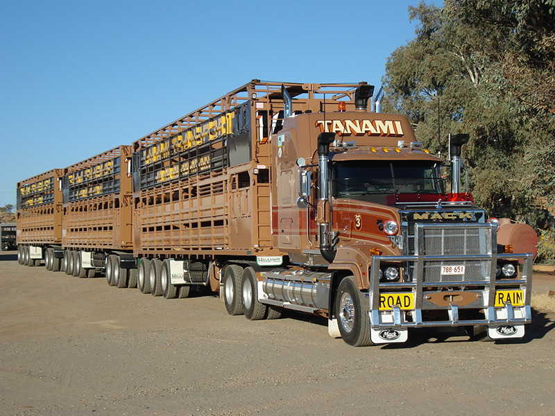 Tanami Road Trains