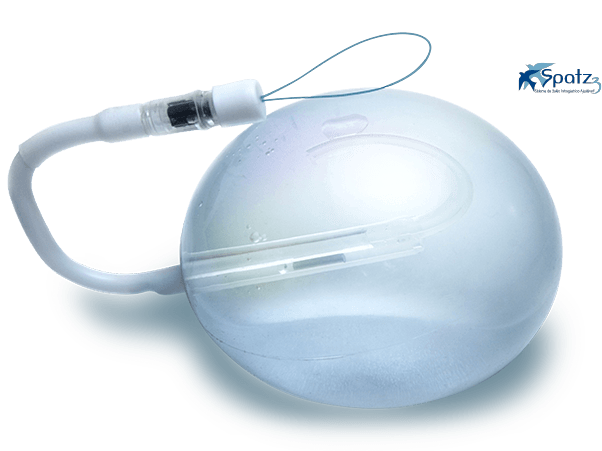 Endoaccess