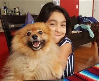 PetPom | Throwback Poms and Big Pomeranians