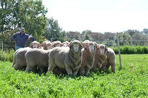 Bungulla Partnership