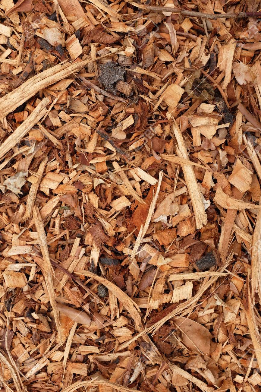 Tope’s Tree Service | You call, we come runnin'! | (831) 373-7765