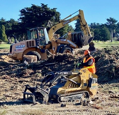 Emergency Tree Services | Monterey, CA | Tope’s Tree Service