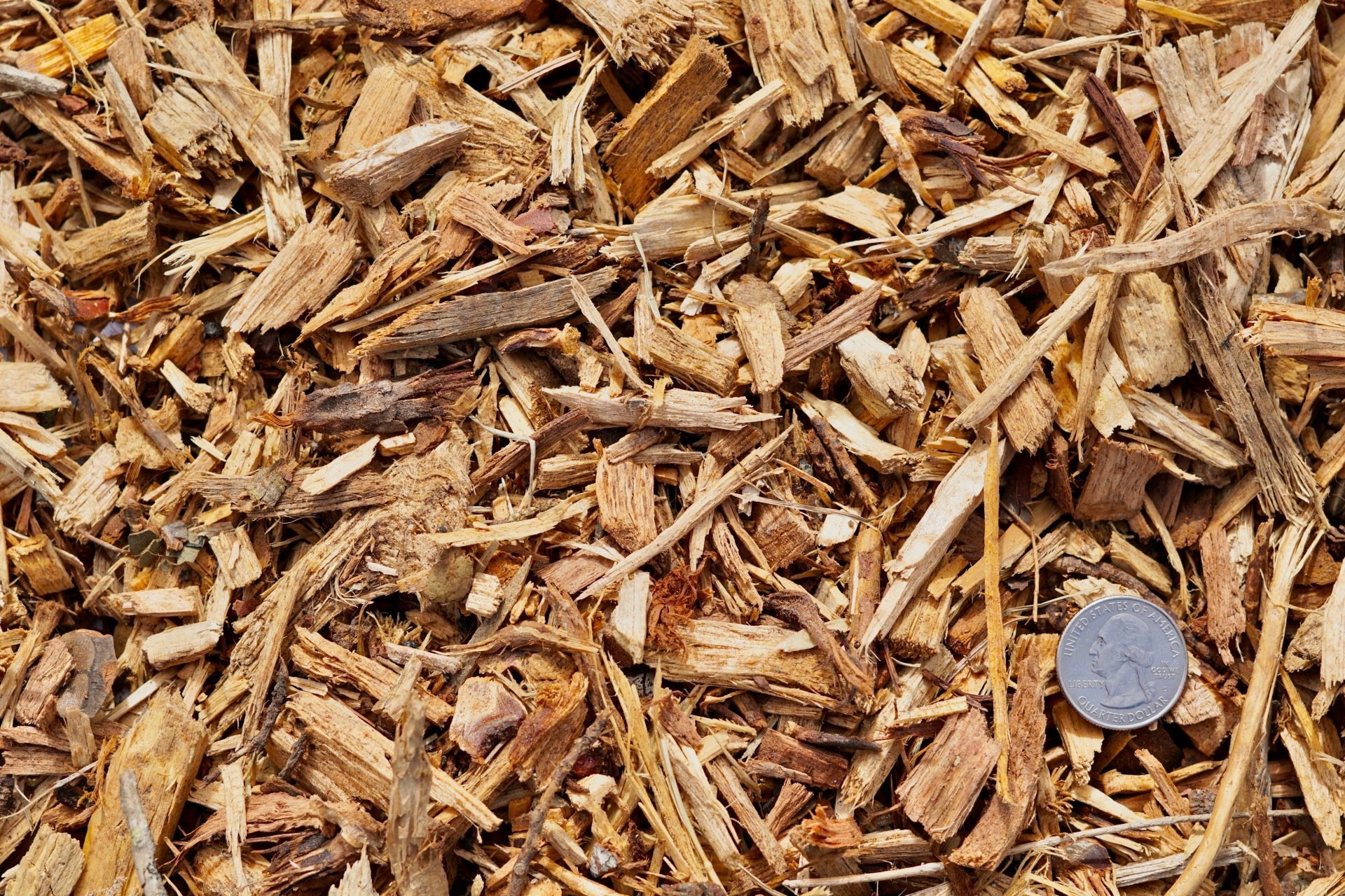 Tope’s Tree Service | You call, we come runnin'! | (831) 373-7765