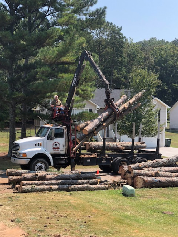 What to Expect | Fellow Tree