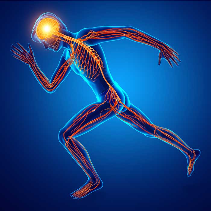 Neural Manipulation NM Vancouver Downtown