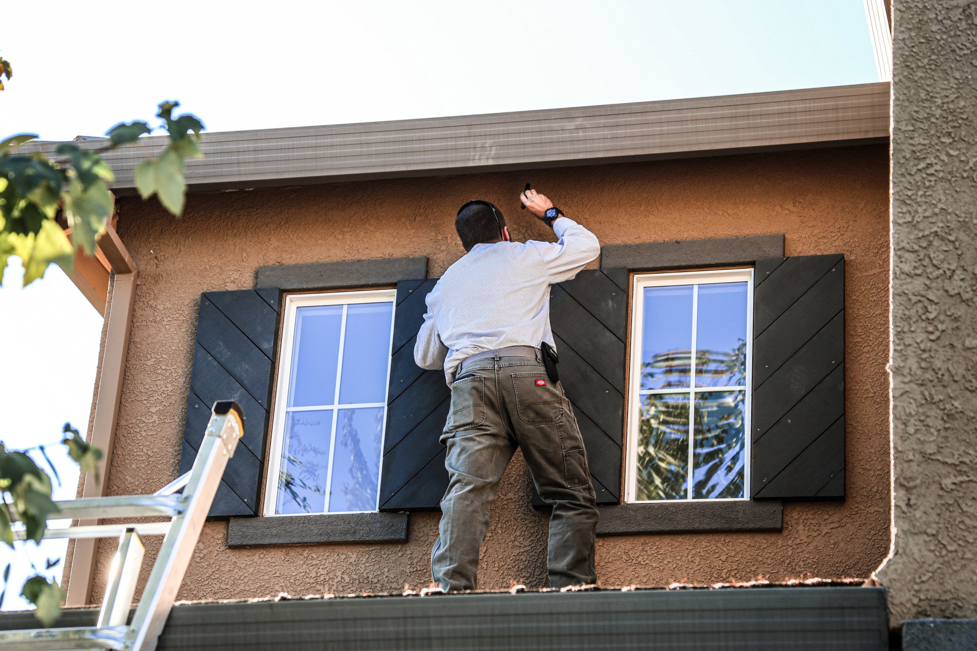 Sacramento Rodent Control | Rodent Removal