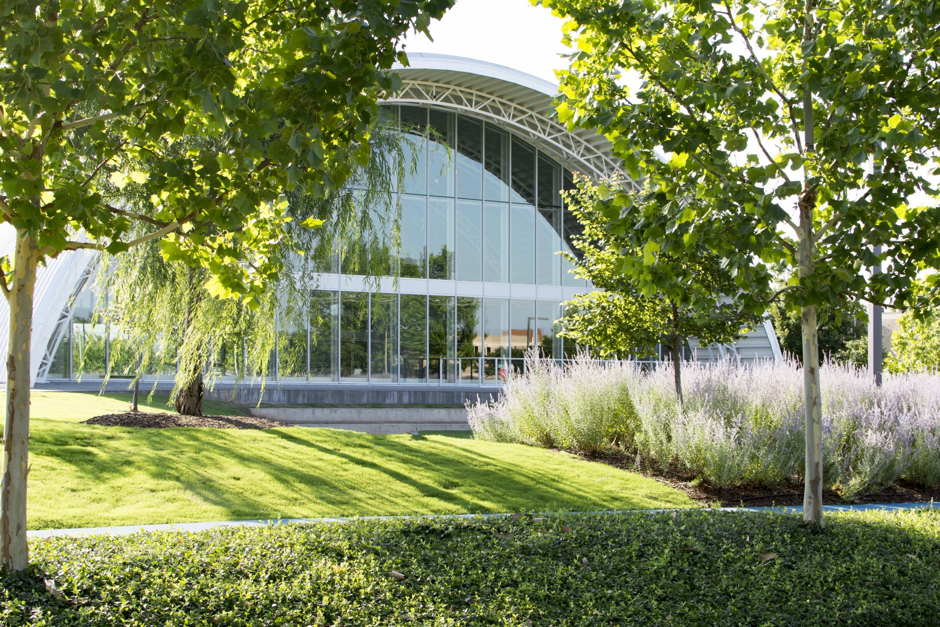 OKC Ballet - Gumerson Blake Design Build