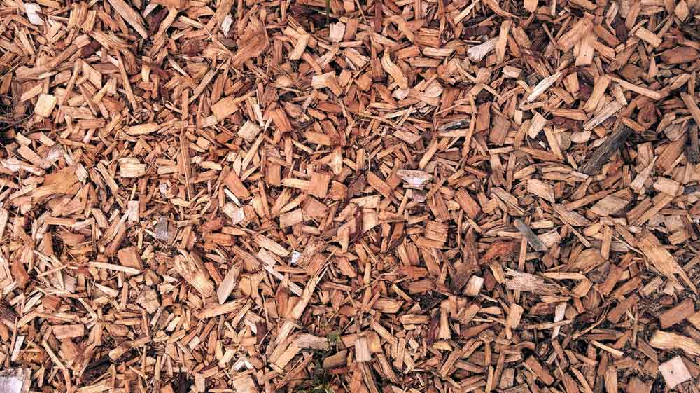Wood Chipping Central Coast All Area Tree Service Pty Ltd wood-chipping-central-coast-all-area-tree-service-pty-ltd