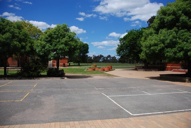 Welcome to Carisbrook Primary School! - Carisbrook Primary School