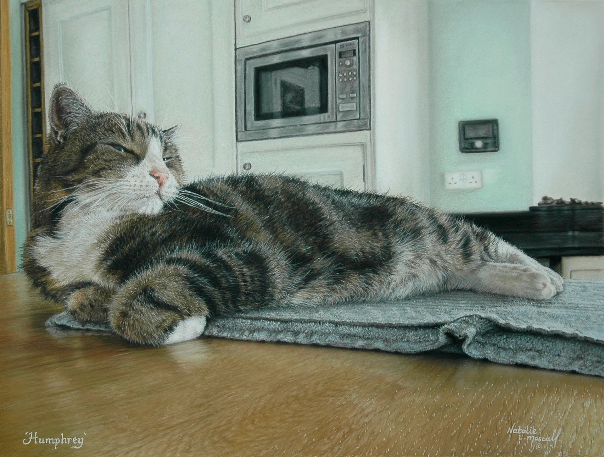 Natalie Mascall's realistic animal drawings, wildlife art, feline art ...