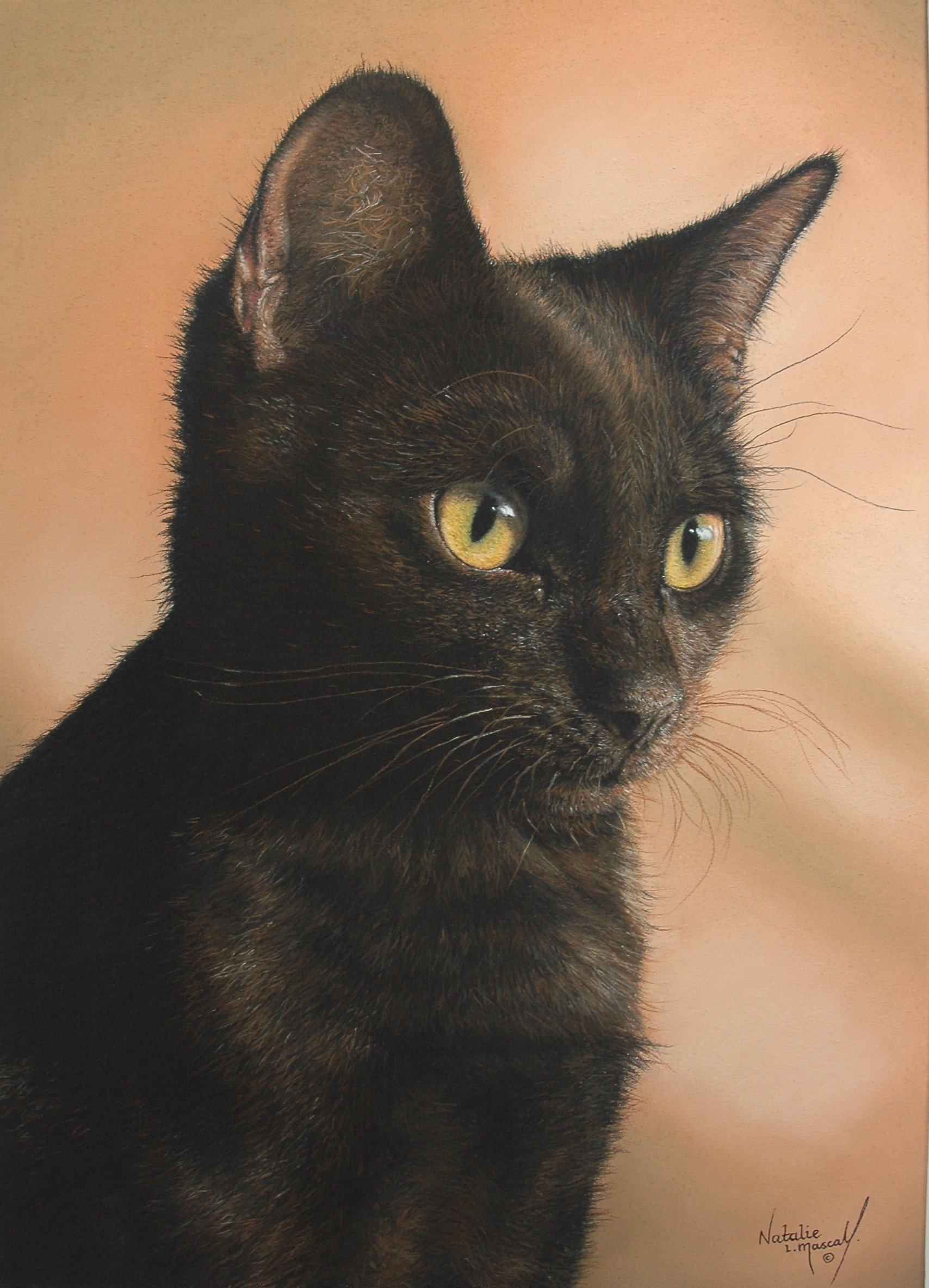 feline artist, award winning artist Natalie Mascall full member of the ...