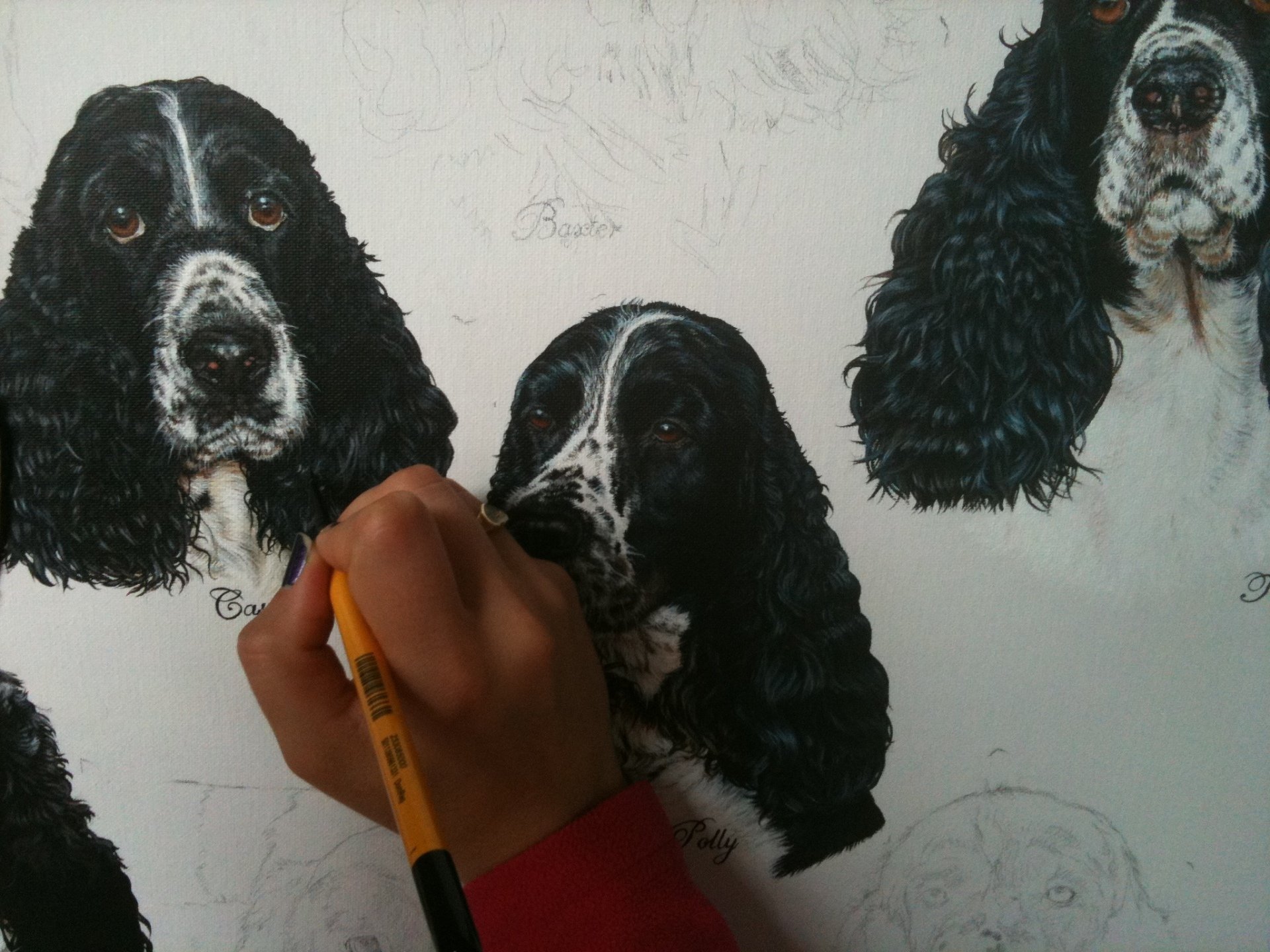 Natalie's Safari's and Adventures, drawings from animals in their ...