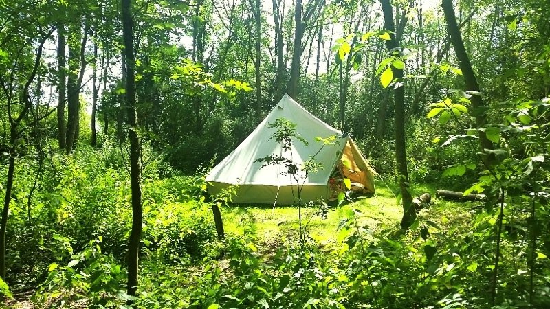 Glamping, Tree Houses and Camping