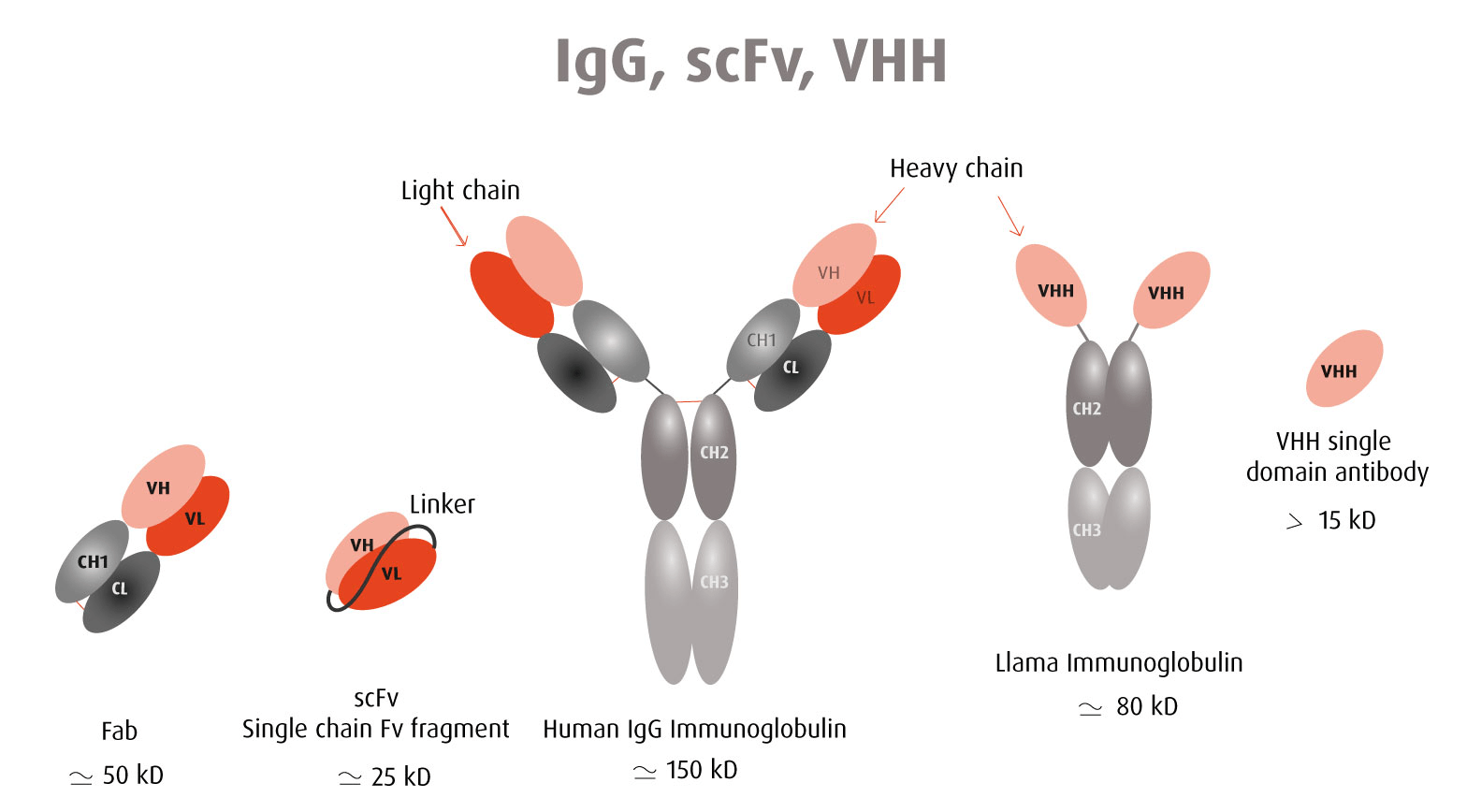 Aequilibrium pharma, Aepharma,