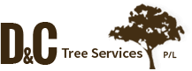 Contact Us | D & C Tree Services