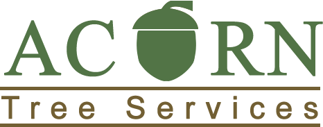 Acorn Tree Services - reliable arborists