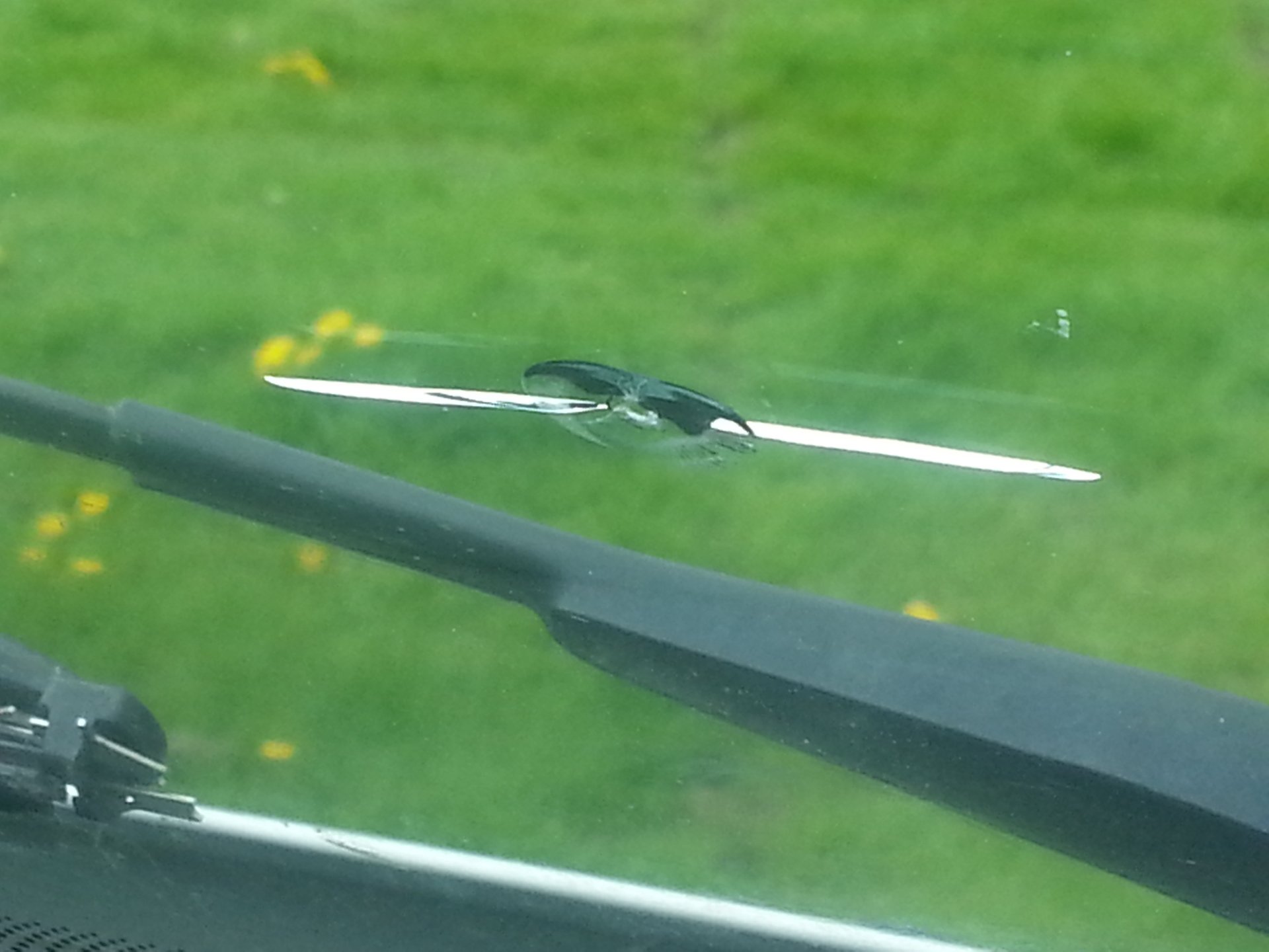 Before and After- Windscreen Repair Resin Performance