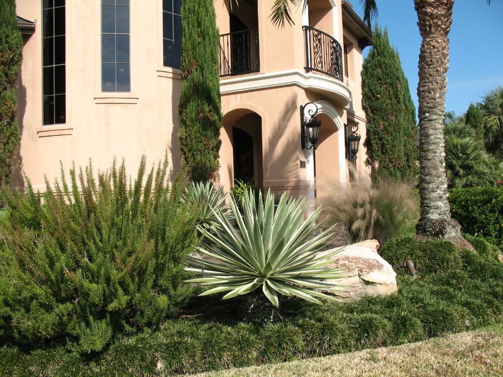 Gallery | Bay Area Design & Landscape