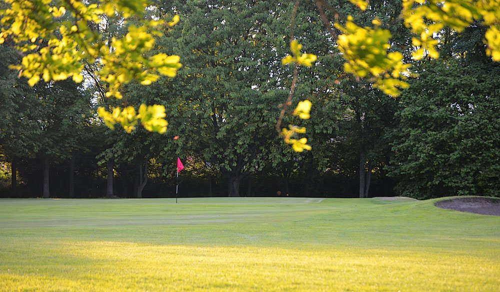 The Course