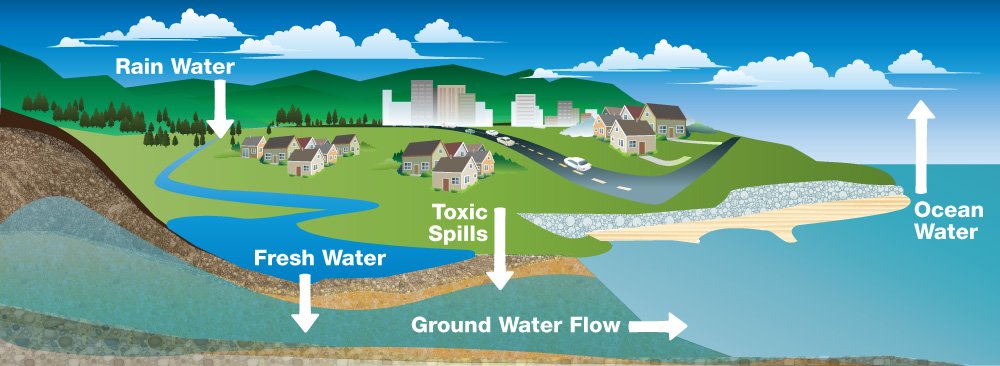 The Hydrologic Cycle