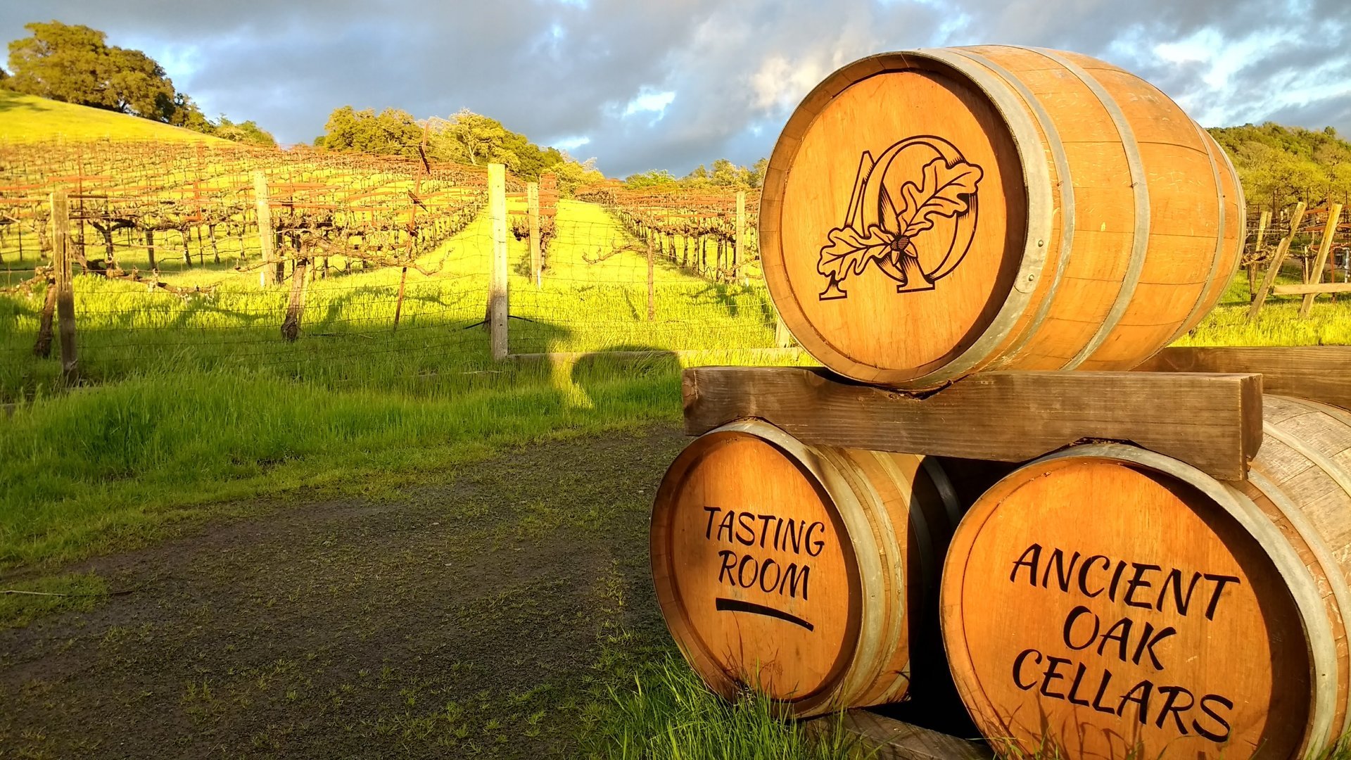 Ancient Oak Cellars