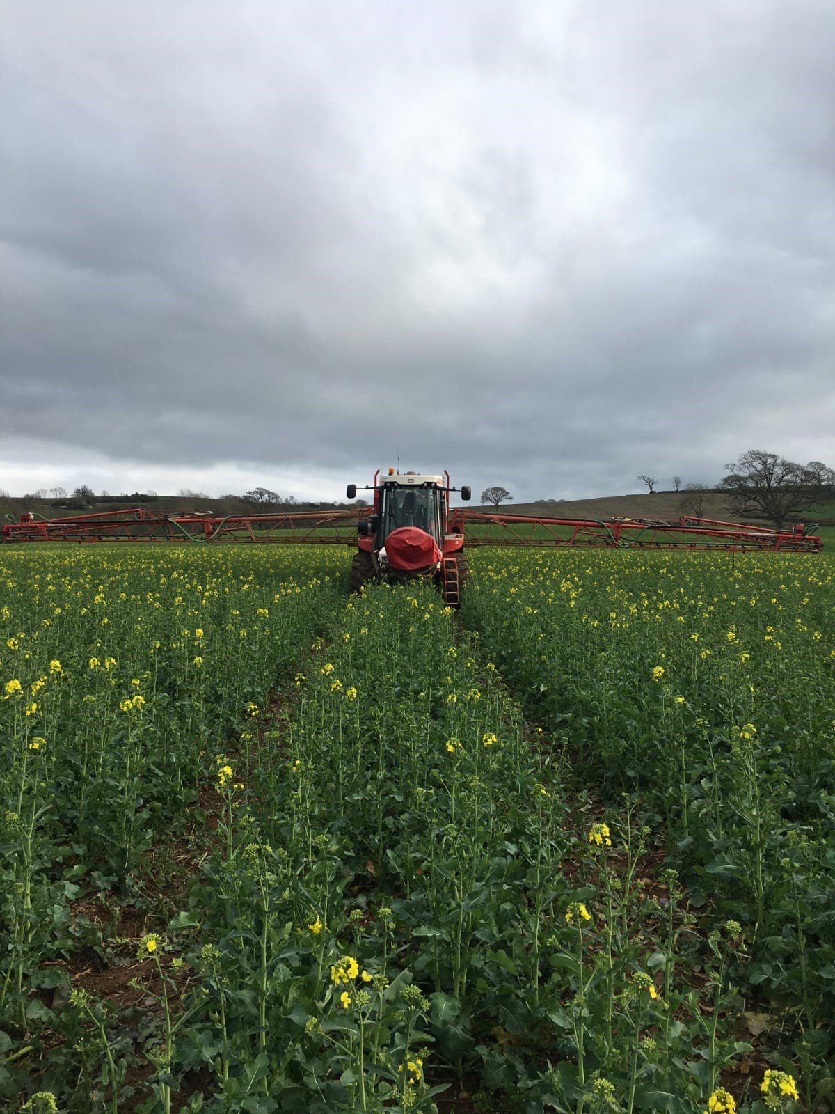 J. Pickard & Co. (Burrington) Ltd - Umberleigh, North Devon - Pellets