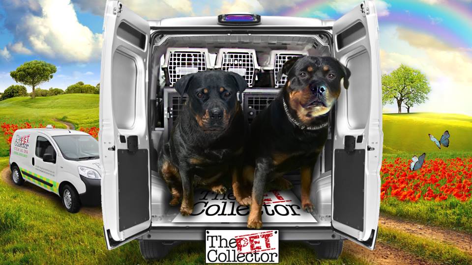 We can arrange for pet collection in Prescot, near St Helens